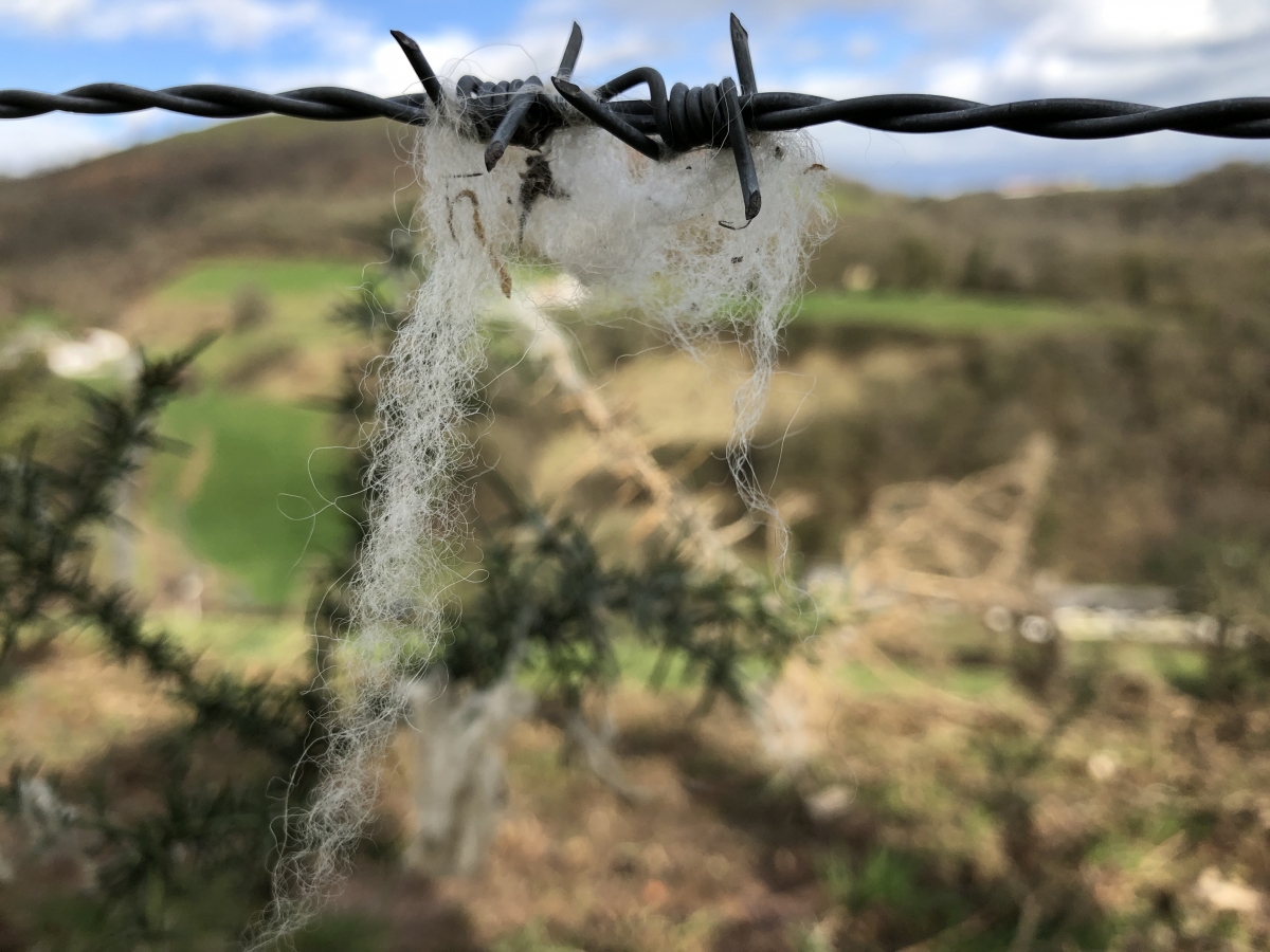 Elaine Tin Nyo – artist archive